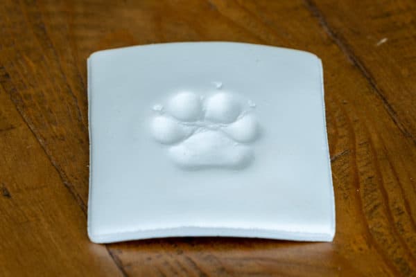 Dog Paw Print Impression Kit – Making A Clay Imprint – Doodle Proud